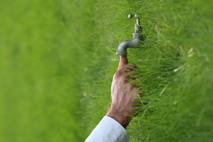 5 ways we are wasting water - Nitesh Group